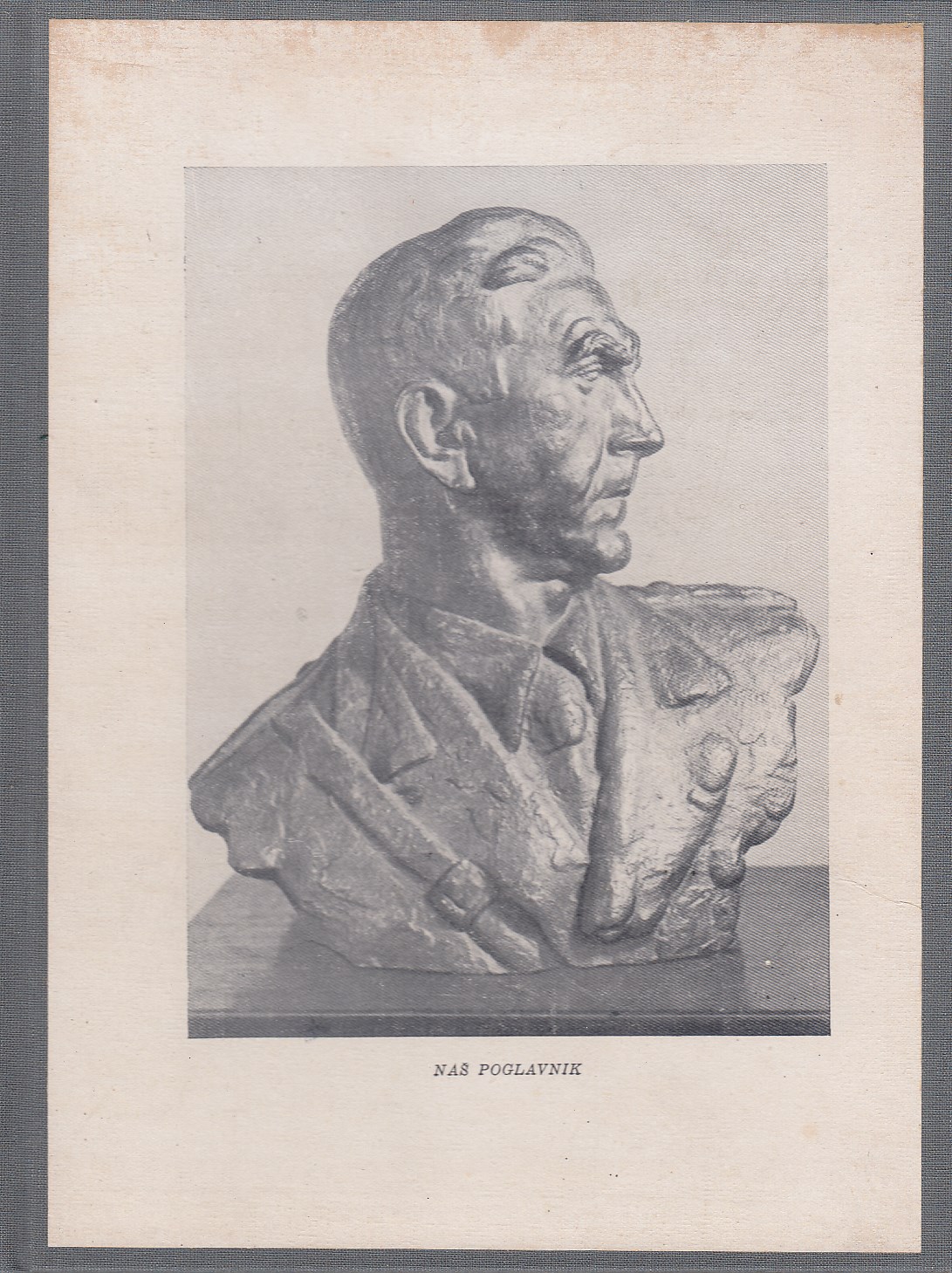 NAŠ POGLAVNIK, Crljen Danijel - Knjižara Dominović