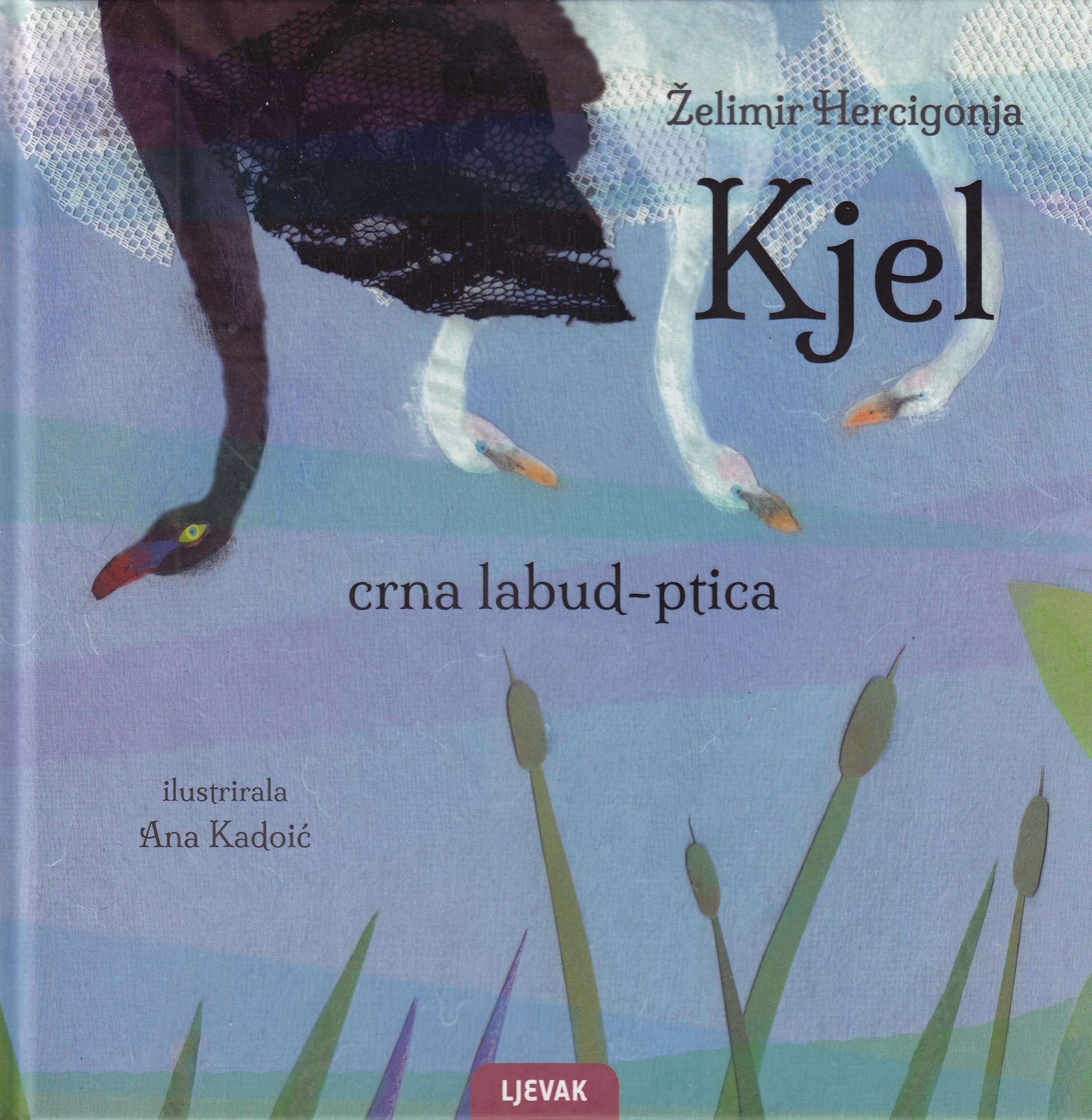 KJEL, CRNA LABUD-PTICA