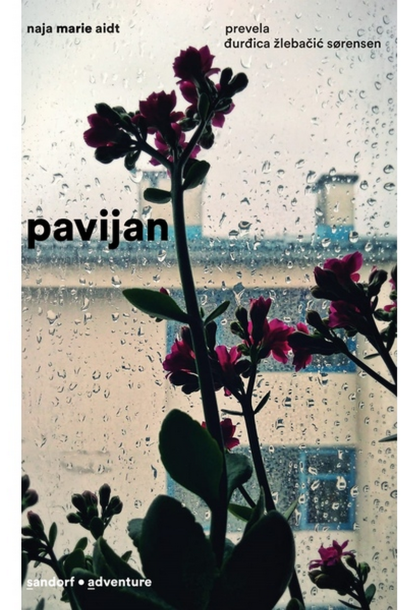 PAVIJAN, Aidt Naja Marie - Knjižara Dominović