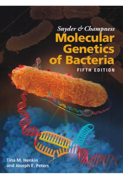 SNYDER & CHAMPNESS MOLECULAR GENETICS OF BACTERIA, Peters Joseph E ...