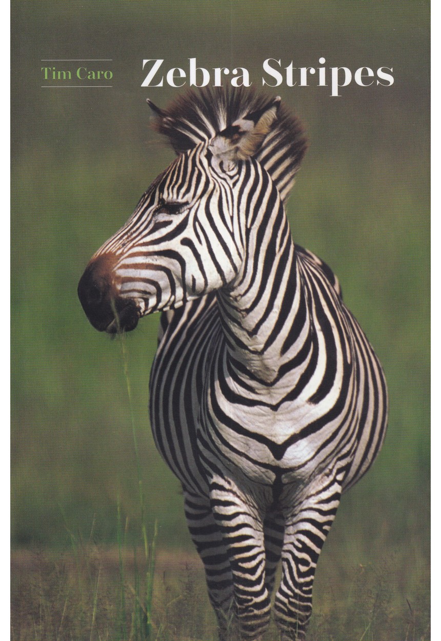 ZEBRA STRIPES, Caro Tim - Knjižara Dominović
