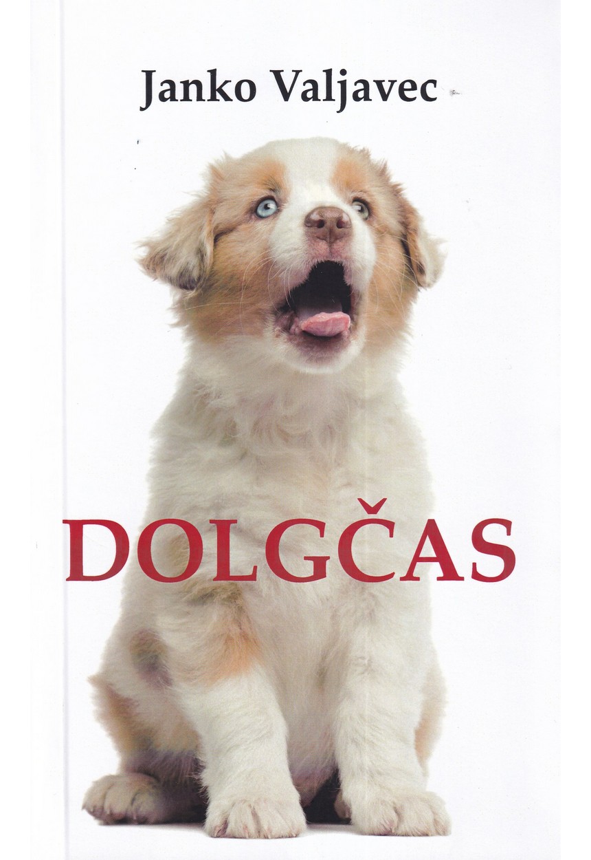 DOLGČAS, Valjavec Janko - Knjižara Dominović