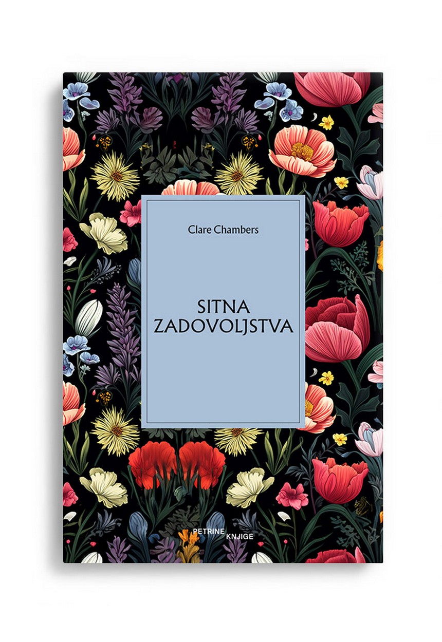 SITNA ZADOVOLJSTVA, Chambers Clare - Knjižara Dominović